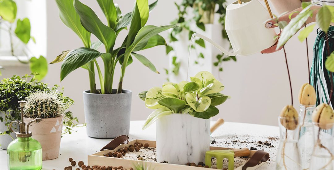 EFC Group – Real Estate